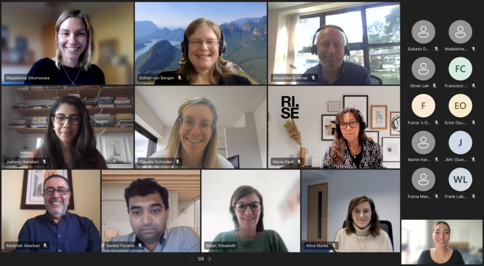 SESA - Smart Energy Solutions for Africa