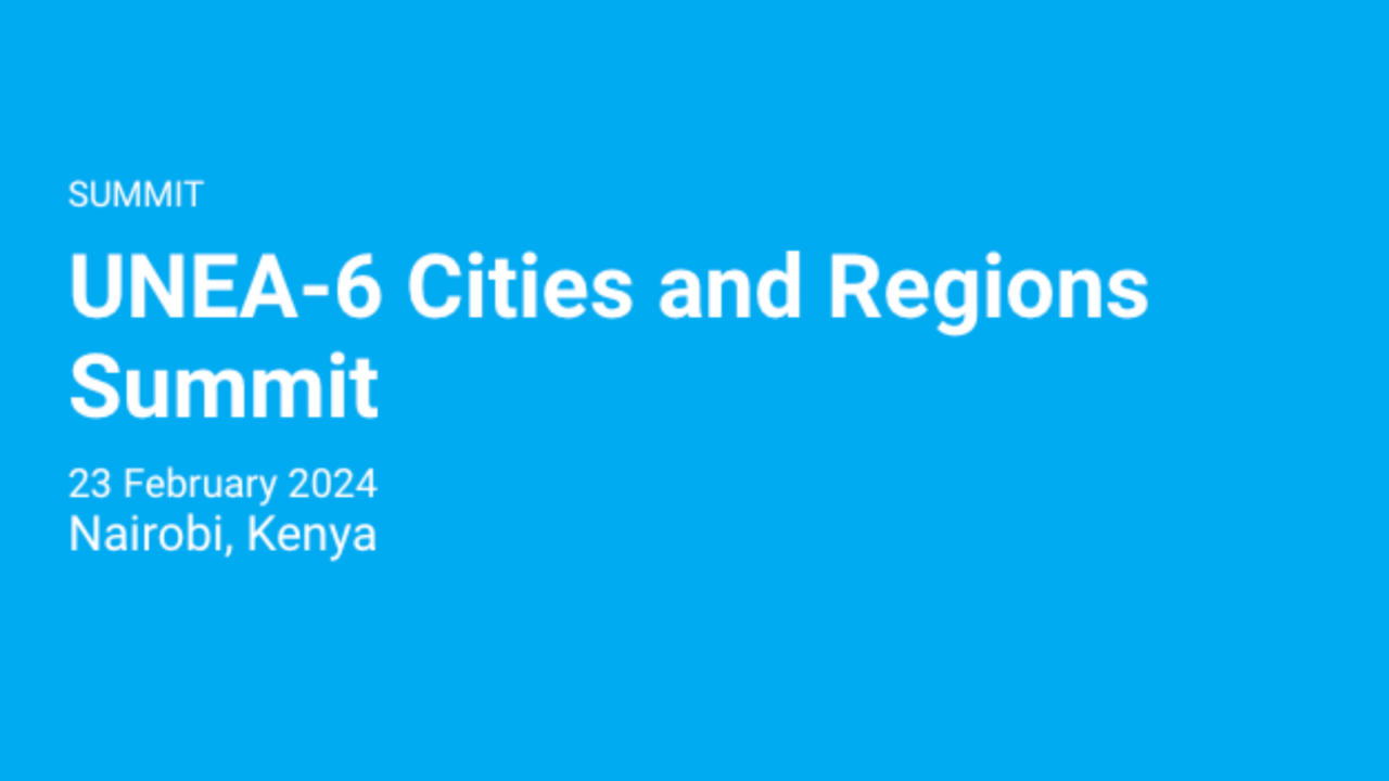UNEA-6 Cities and Regions Summit | SESA - Smart Energy Solutions for Africa